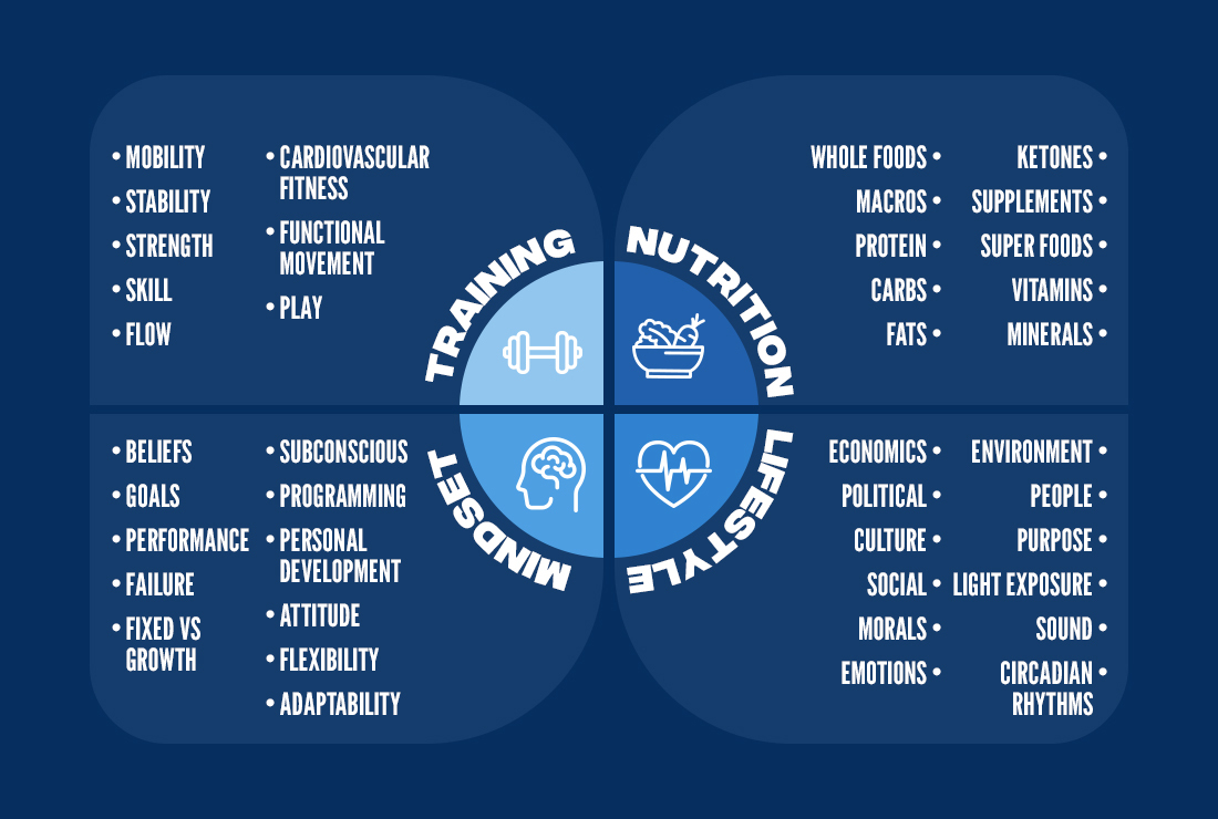 Coaching Lander 3 - Muscle Intelligence